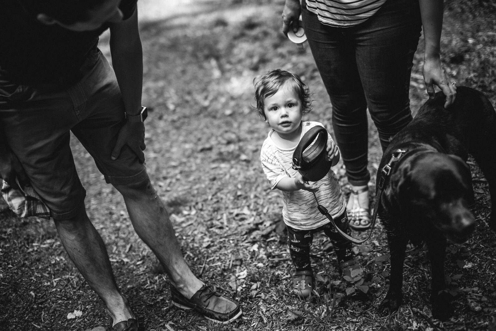 Five Lessons That Owning A Pet Can Teach Children – DEVON MAMA