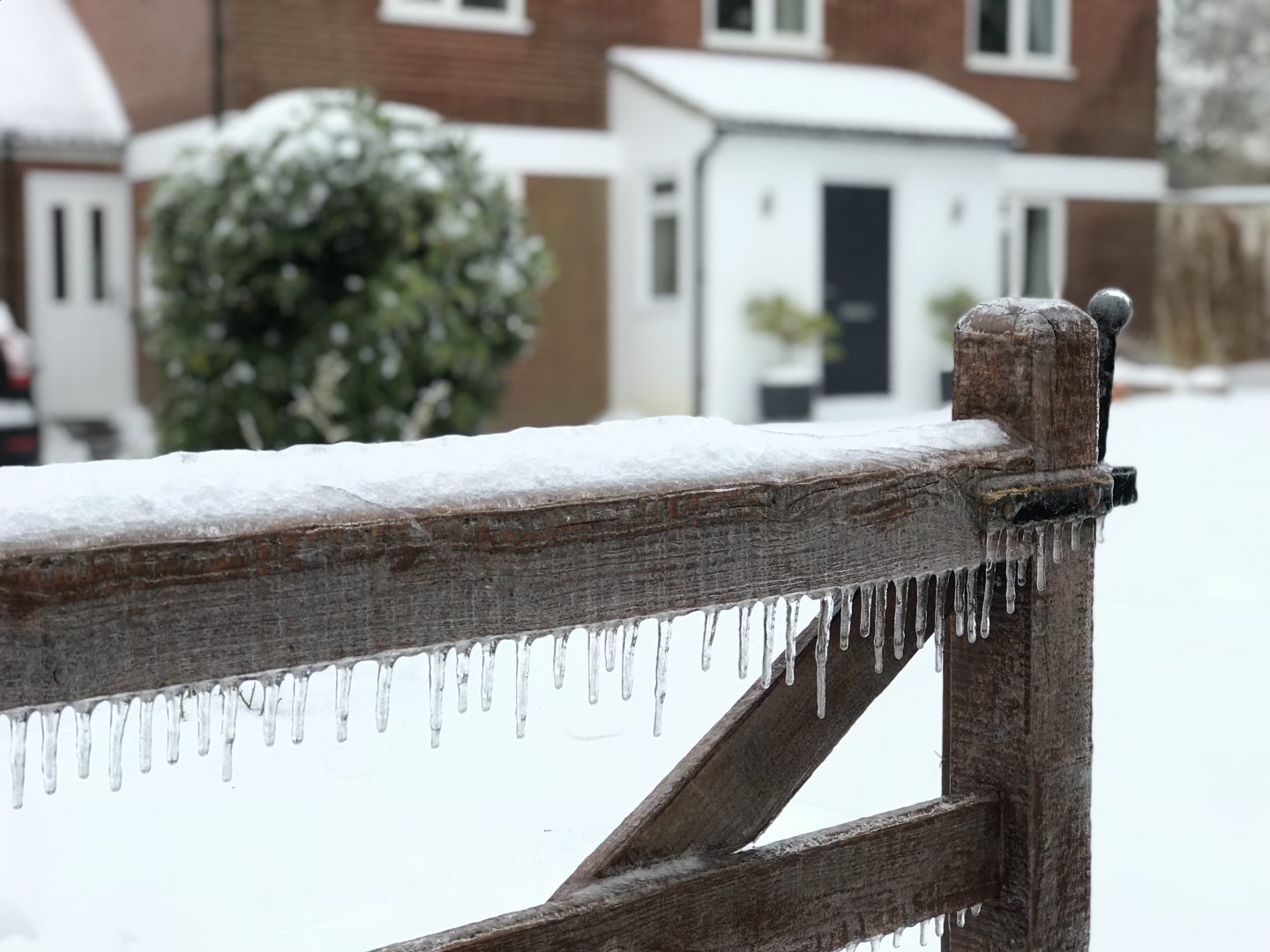 Our Home: 2019 Plans – DEVON MAMA