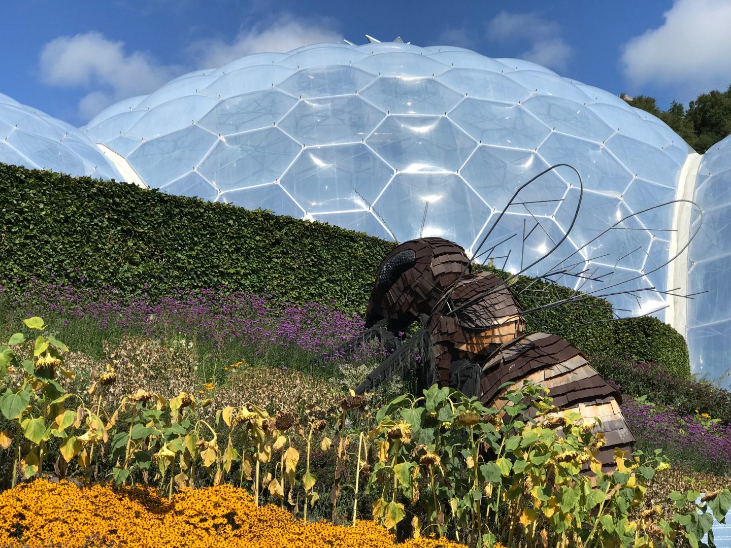The Eden Project Review – DEVON MAMA