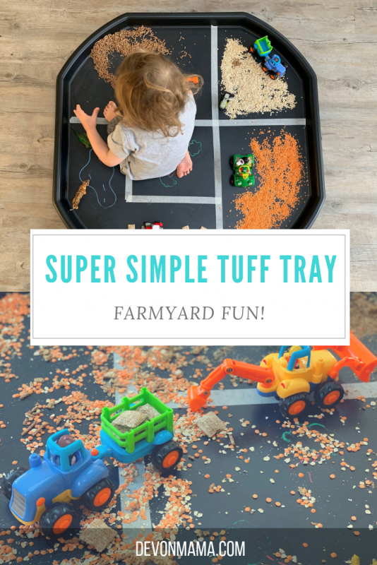 Tuff Tray Ideas: Simple Farm Fun – DEVON MAMA