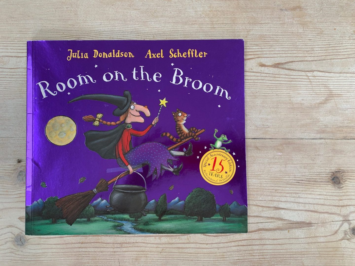 Make Your Own Room On The Broom Witch Costume – DEVON MAMA
