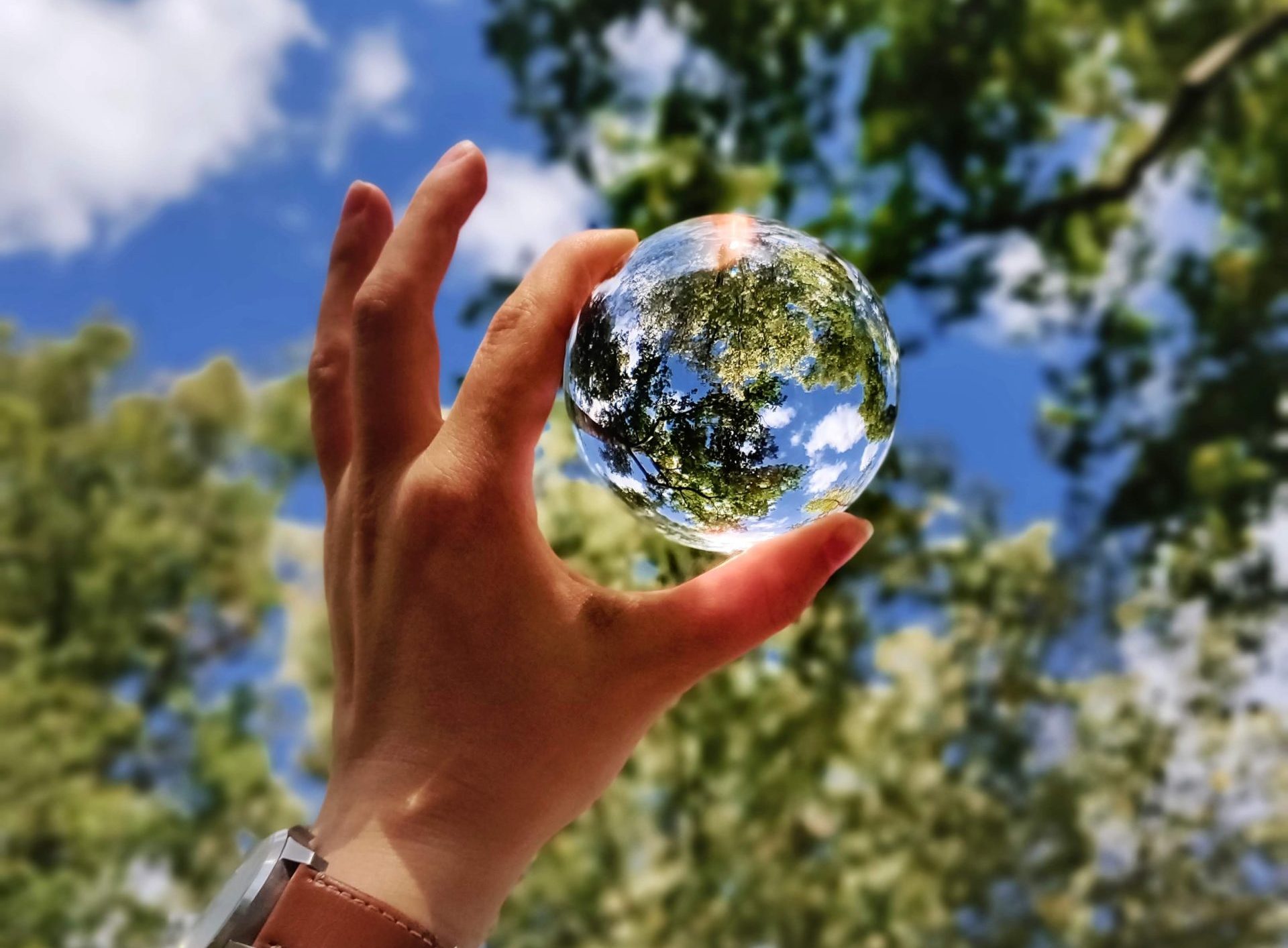 Embracing a Greener Lifestyle: Simple Steps to Sustainable Living at ...